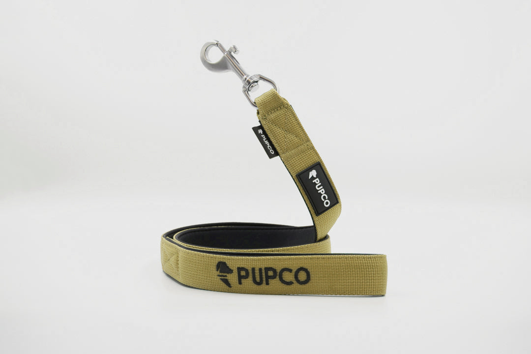 Classic Dog Lead Tan - Everyday Dog Leash UK | Thepupco